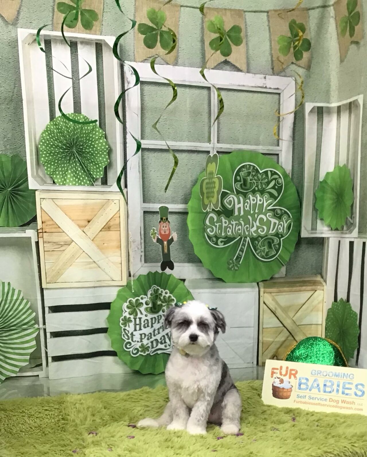 HOME - Fur Babies Self Service Dog Wash